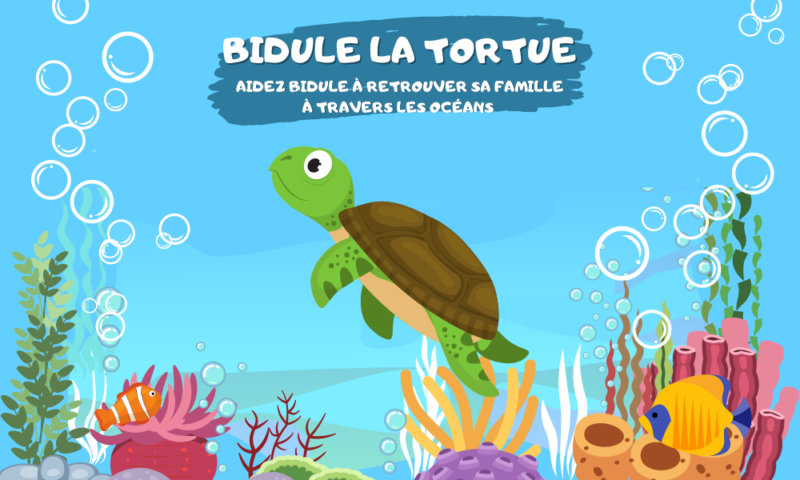 Bidule la Tortue - Allan CROFFT : Saint-Quentin, Picardie